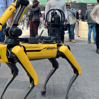 ‘Digidog’: El perro robot con el que planean combatir la inseguridad en ...