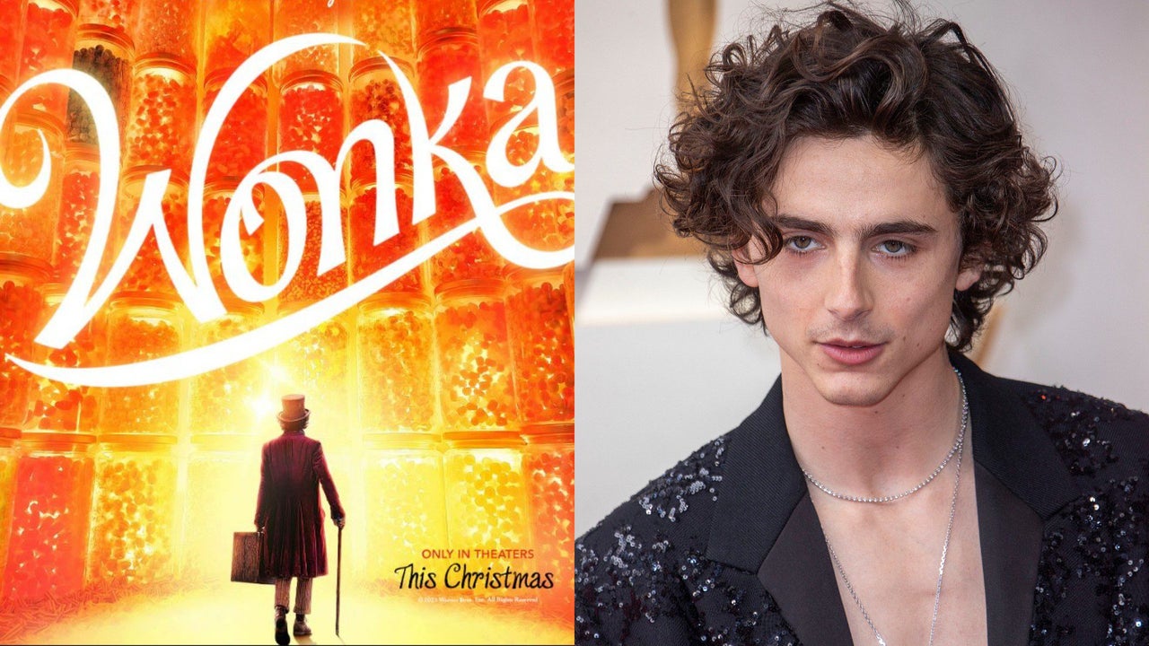 Así se ve Timothée Chalamet como el nuevo Willy Wonka de Warner Bros | NTN24.COM