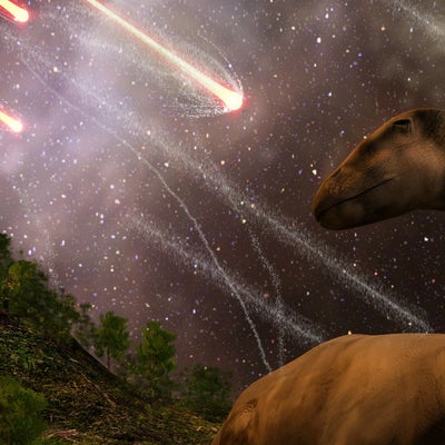 El polvo del impacto de un asteroide provocó un invierno de 15 años que mató a los dinosaurios ...