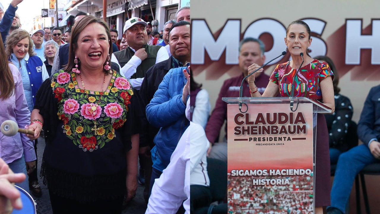 "Si se van los contrapesos, se va la democracia": Stephanie Henaro ...