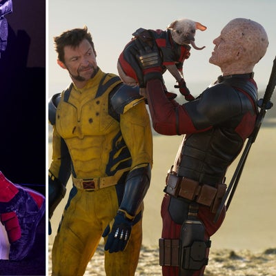 Así vive su cotidianidad Dogpool, el perro que alcanzó la fama gracias ...