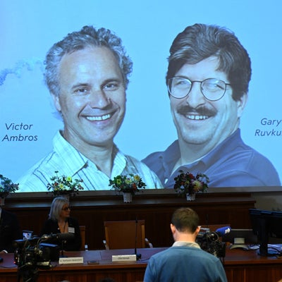 Estadounidenses ganan el Nobel de Medicina por hallar molécula crucial en regulación de genes ...