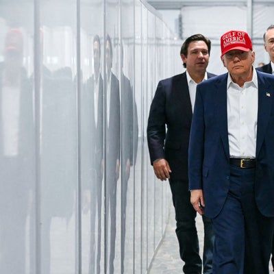 "Les vamos a enseñar a huir de un caimán, no corran en línea recta": el ...