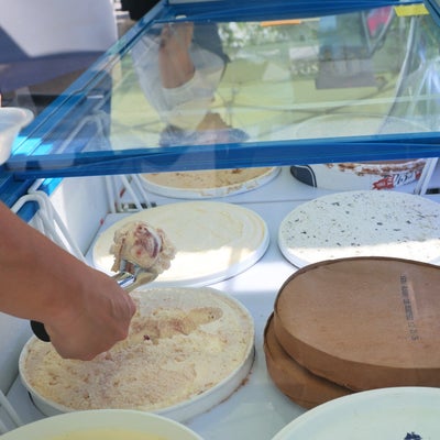 Video porno staisyyfox i saw my girl Jos a mid day.