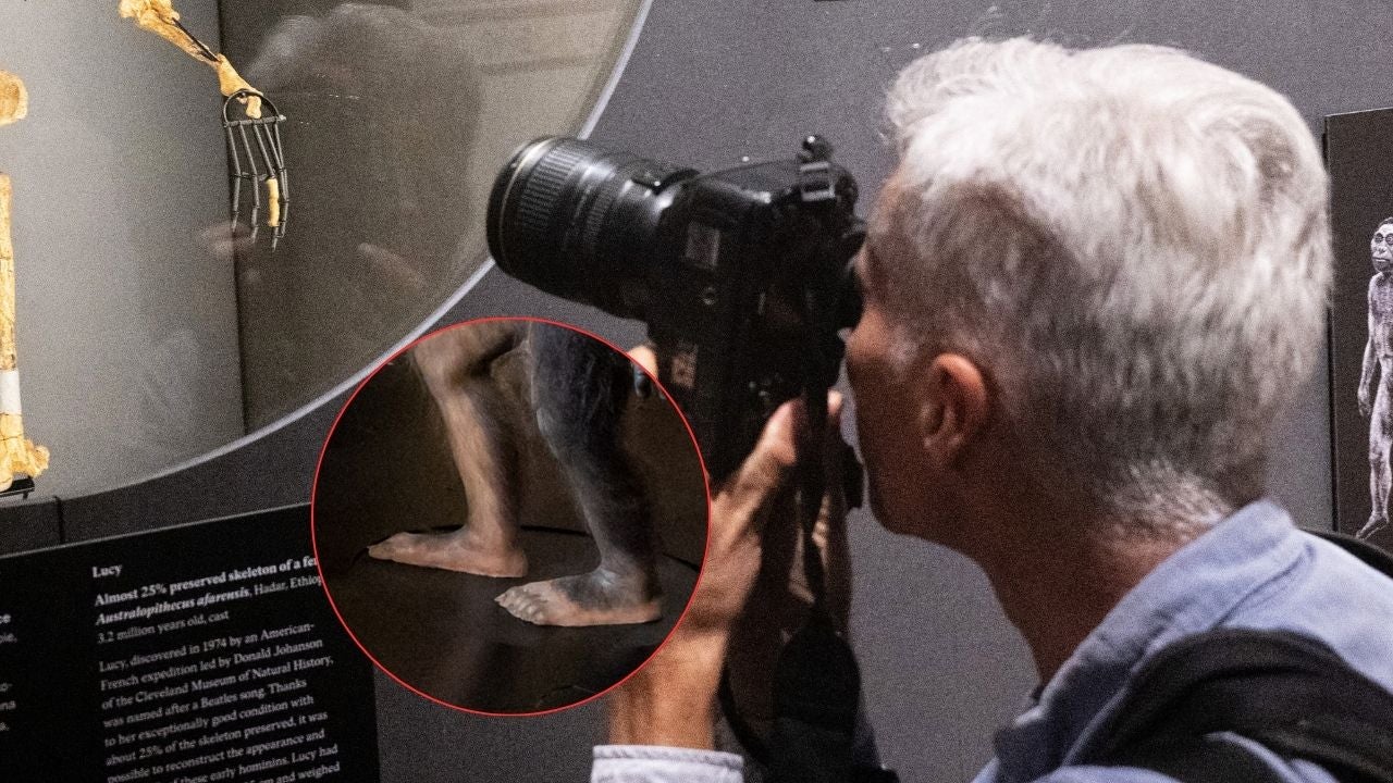 Así se vio por primera vez la exposición de los fragmentos de un ...