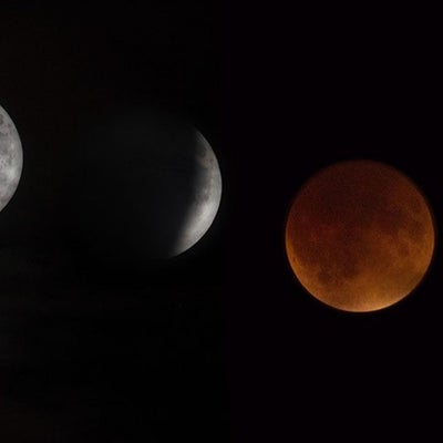 Alrededor del 80% de la población mundial podrá ver un esperado eclipse ...