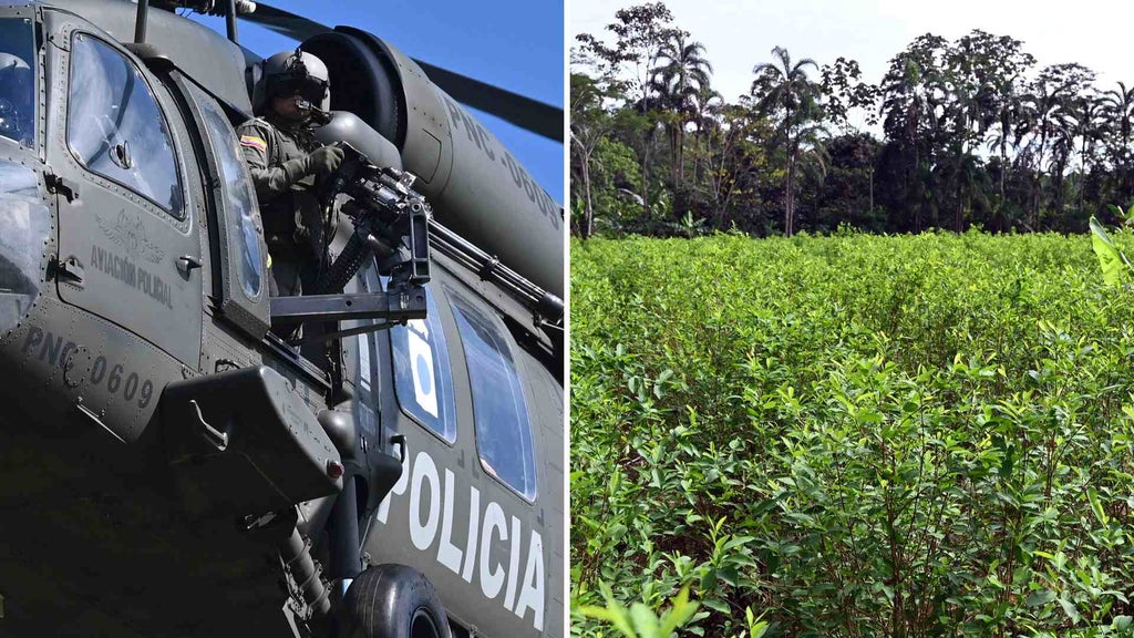 Colombia asegura que si Estados Unidos le retira la certificación en la ...