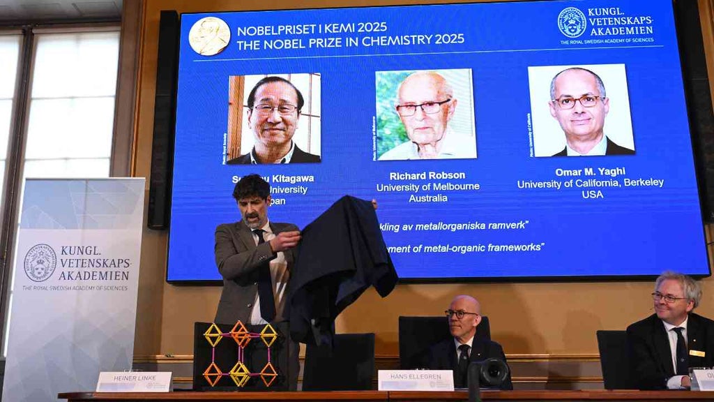 La Academia Sueca entregó el Nobel de Química a tres científicos por ...