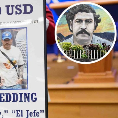 Detuvieron a excampeón olímpico canadiense señalado por el FBI de ser ...