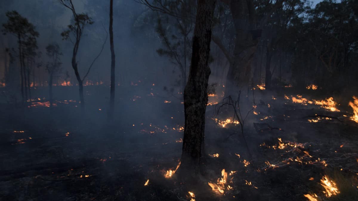 Incendios en Australia aumentaron en un 10% el tamaño del agujero de la ...