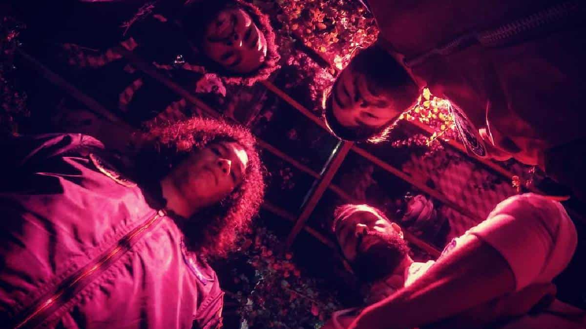 "Little Boy" es el nuevo sencillo de Rex Marte | NTN24.COM