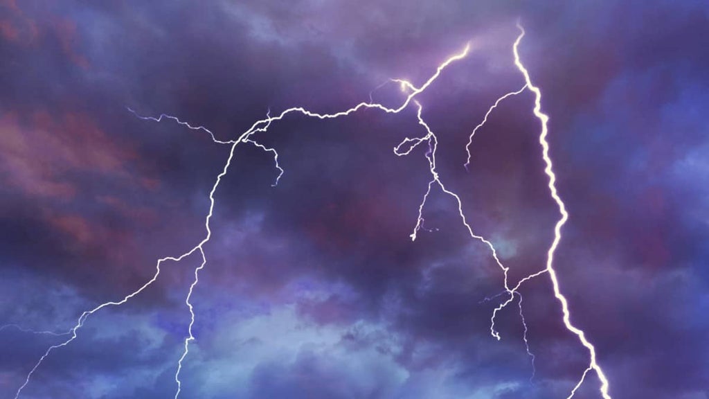 Rayo que cayó en medio de una tormenta incendió un árbol en Buenos ...