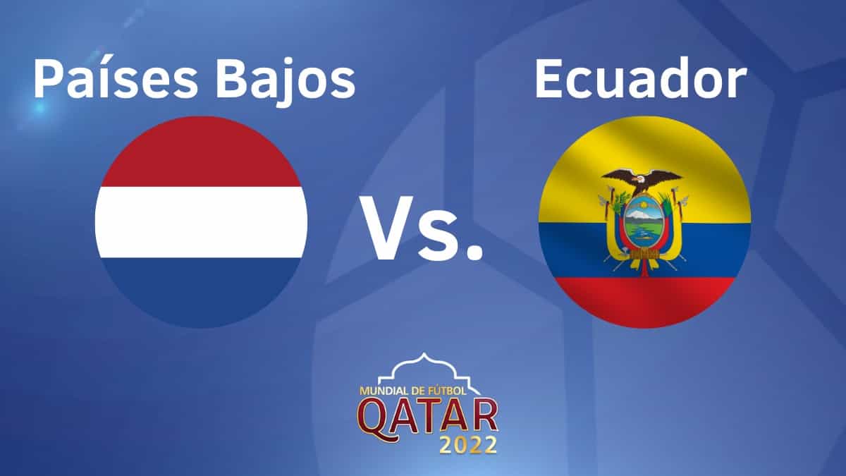 En vivo: Países Bajos vs. Ecuador, siga el minuto a minuto y las ...