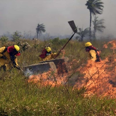 Enormes incendios forestales en Bolivia consumieron más de 100 mil ...