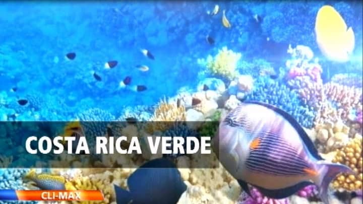 COSTA RICA VERDE | NTN24.COM