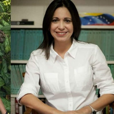 Valentina Quintero y María Corina Machado reconocidas como mujeres más ...